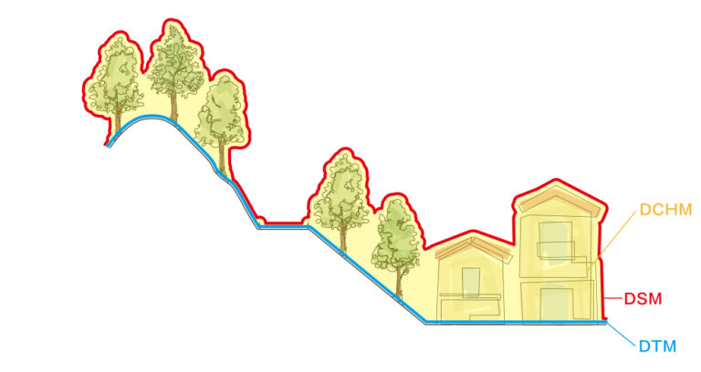 DCHM｜用語集｜エフオンの山林事業